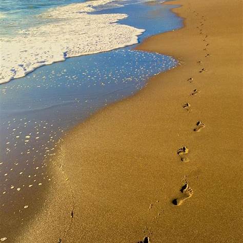 James, son of Alphaeus, an Apostle (9th in a series on the Apostles ...